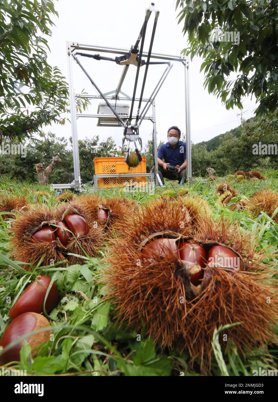 An automatic chestnut picking robot (Arm-l) using artificial ...