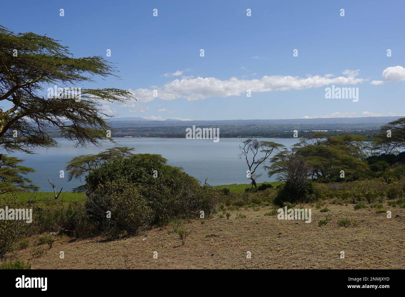 View from Crescent Island, Lake Naivasha, Kenya Stock Photo - Alamy