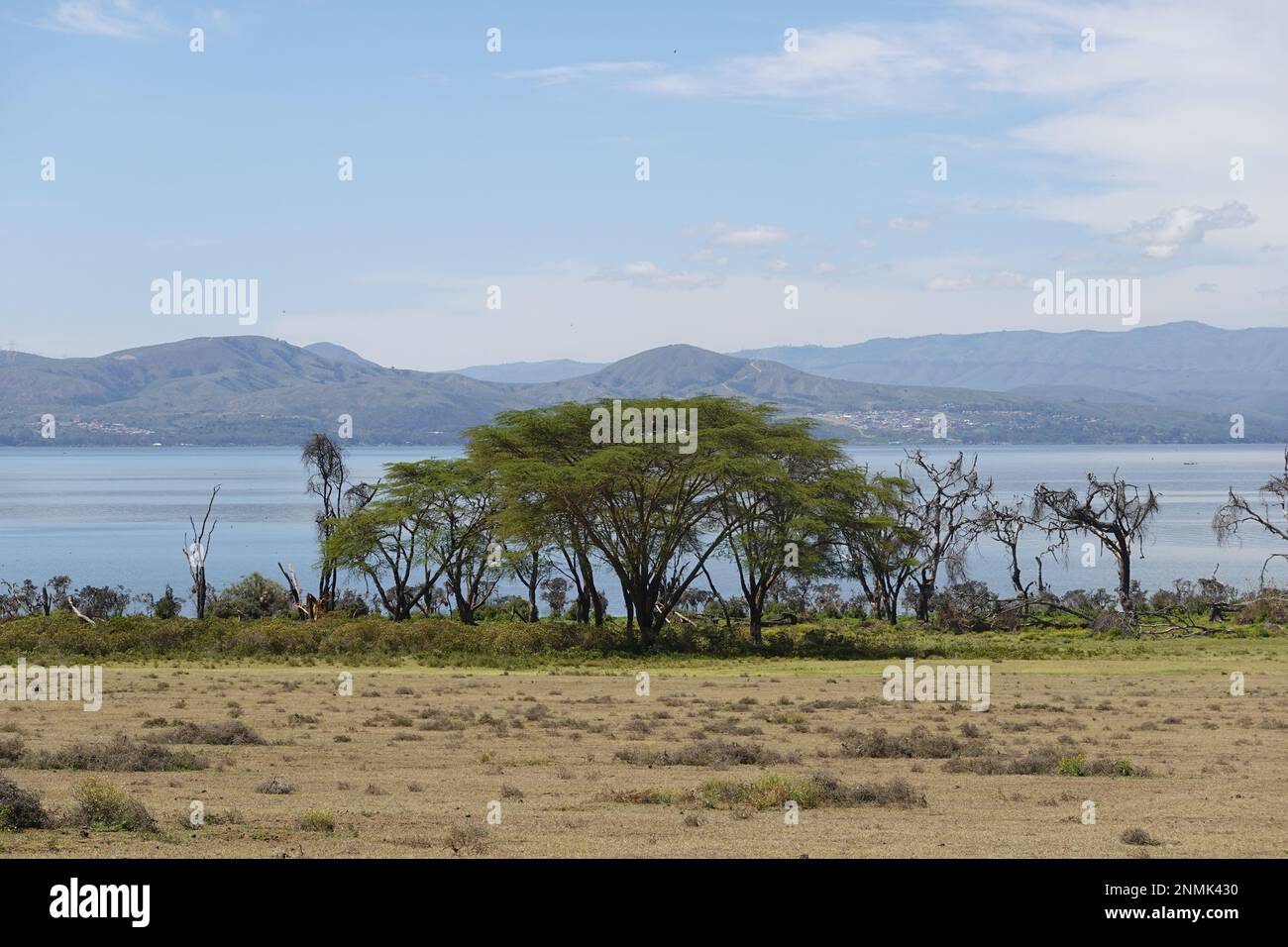 View from Crescent Island, Lake Naivasha, Kenya Stock Photo - Alamy