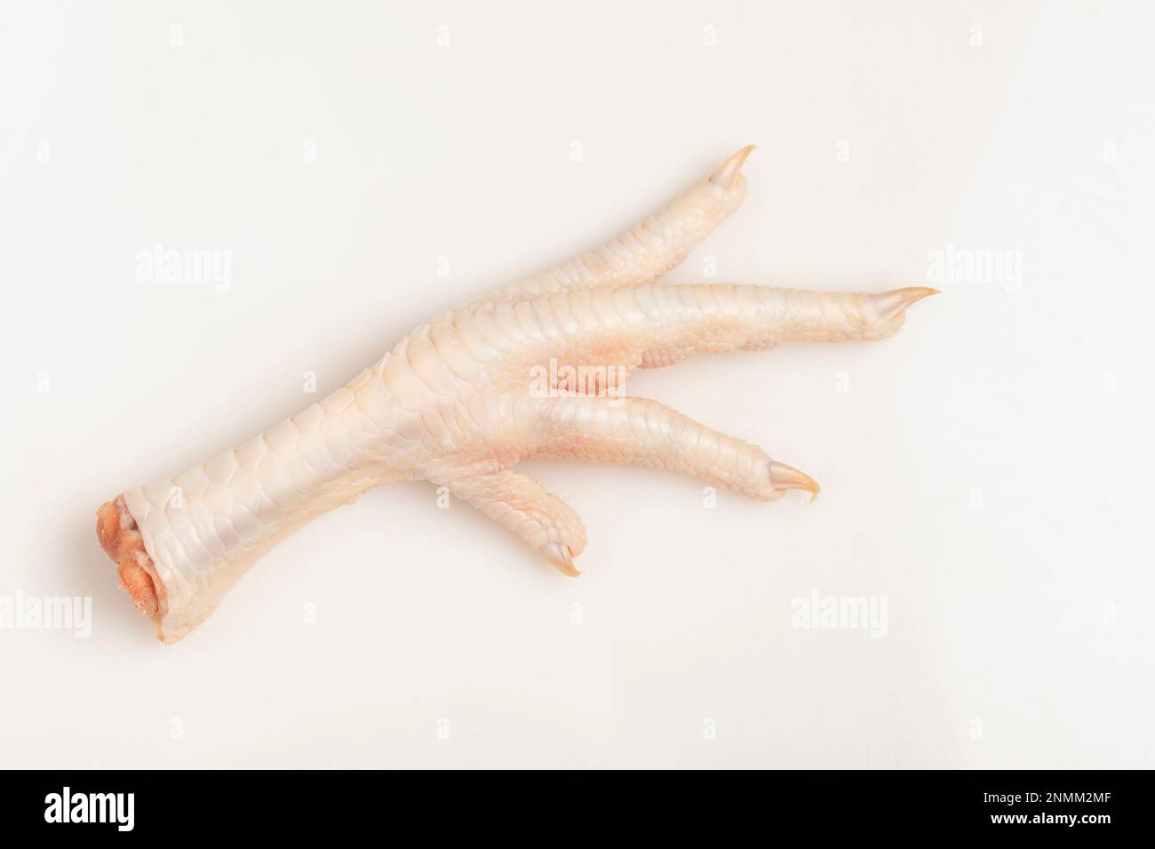 Chicken feet on white background, space for text Stock Photo - Alamy