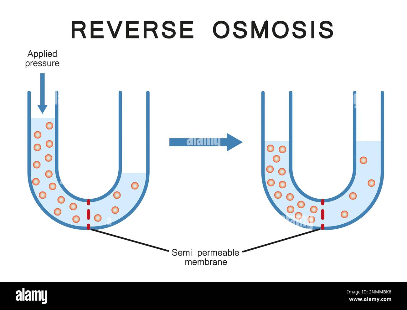 Reverse osmosis, illustration Stock Photo - Alamy Reverse osmosis, illustration Stock Photo - Alamy