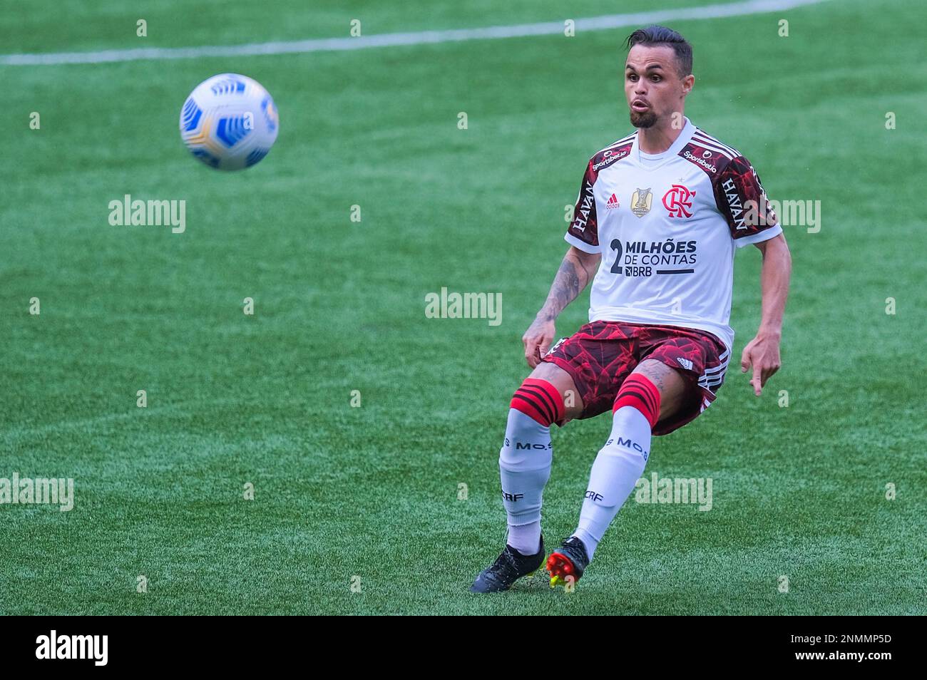 SP - Sao Paulo - 12/09/2021 - BRAZILIAN 2021, PALMEIRAS X FLAMENGO ...