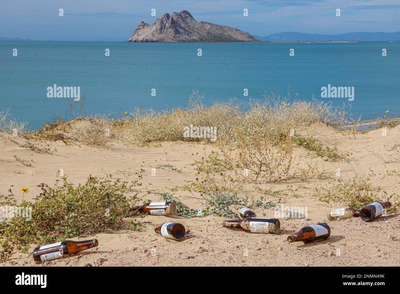 garbage from glass bottles Michelob Ultra light beer on the beach of ...