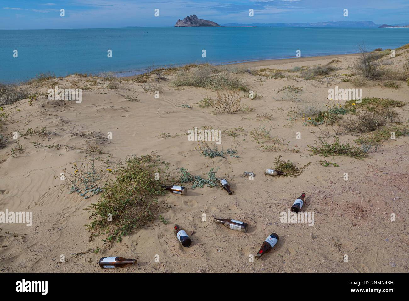 garbage from glass bottles Michelob Ultra light beer on the beach of ...