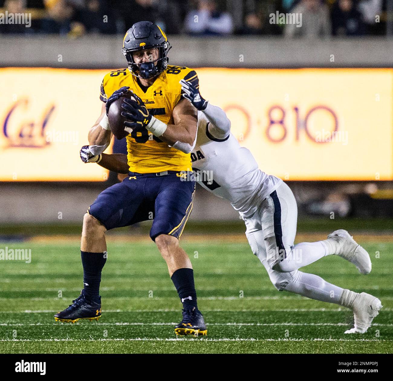 September 04 2021 Berkeley, CA USA California tight end Jake Tonges (85 ...