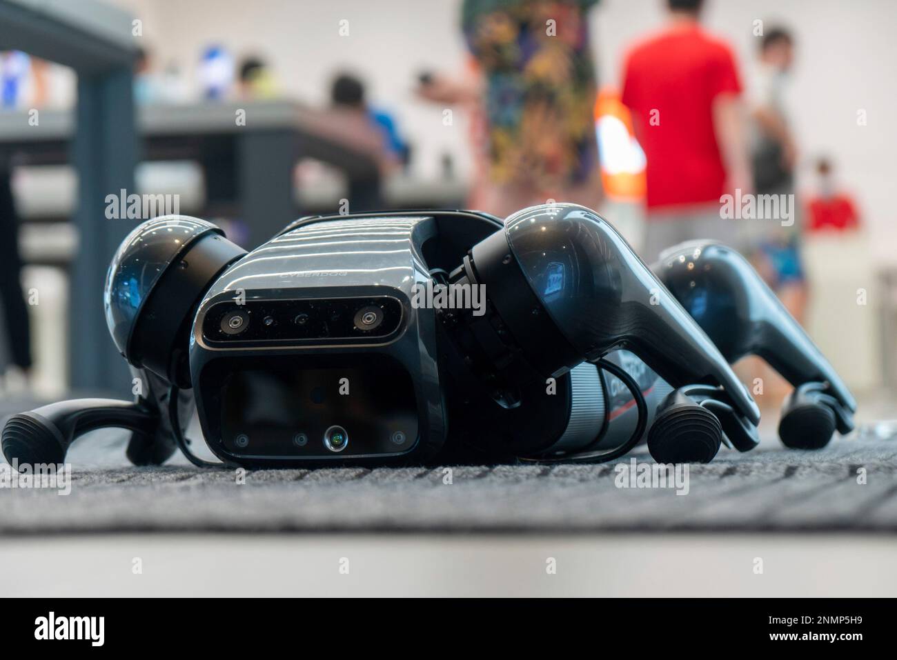 A bio-inspired quadruped robot, Xiaomi CyberDog, rests on the floor in ... A bio-inspired quadruped robot, Xiaomi CyberDog, rests on the floor in ...