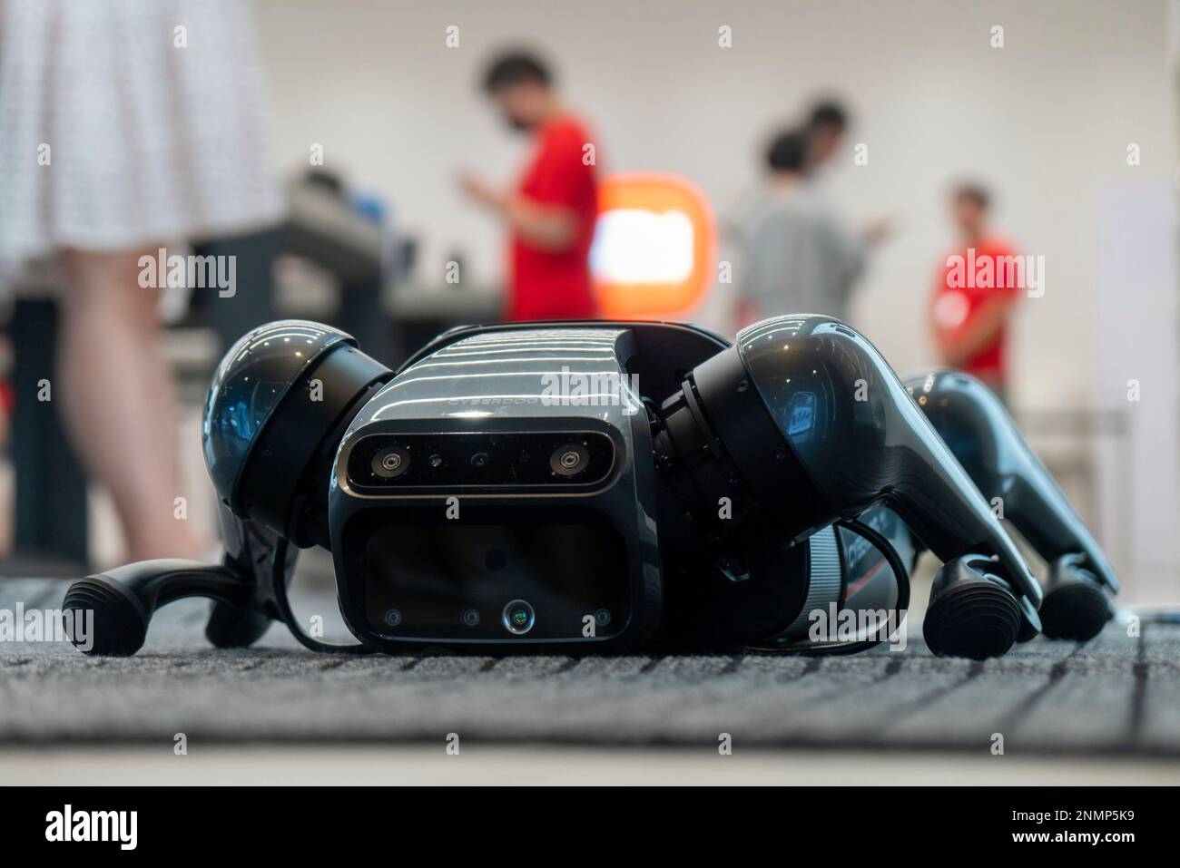 A bio-inspired quadruped robot, Xiaomi CyberDog, rests on the floor in ... A bio-inspired quadruped robot, Xiaomi CyberDog, rests on the floor in ...