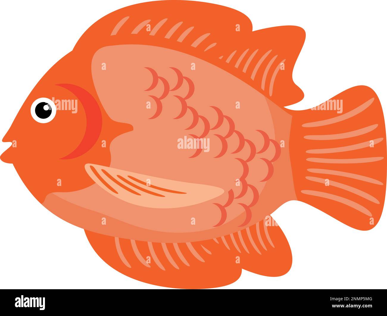 fish on white background Stock Vector Image & Art - Alamy