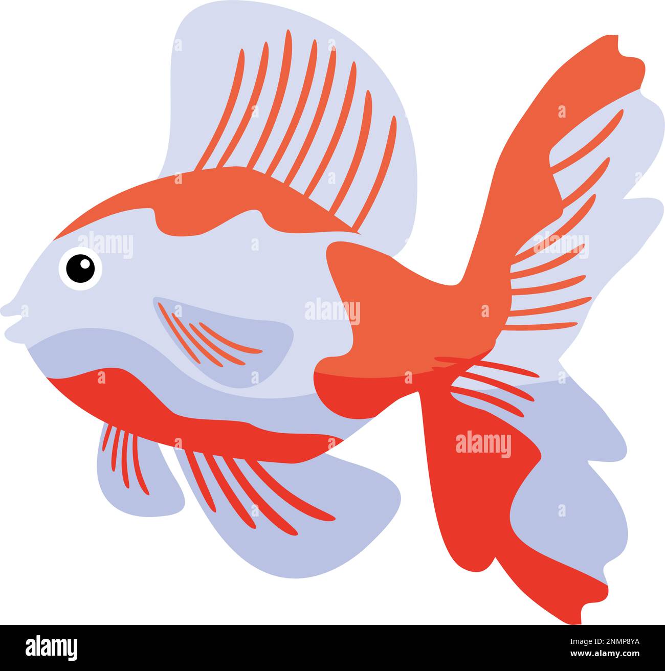 Ballerina fish hi-res stock photography and images - Alamy