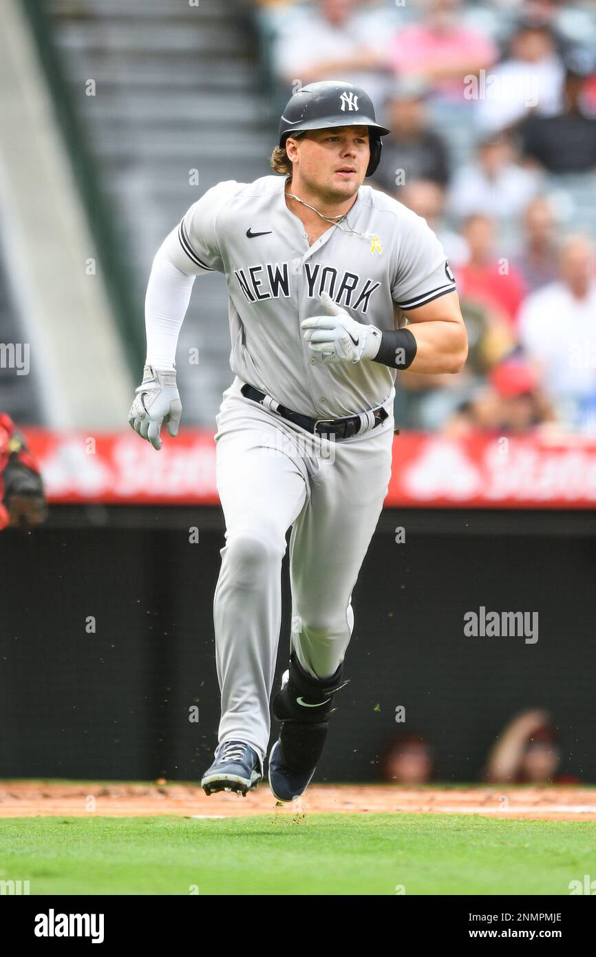 ANAHEIM, CA - SEPTEMBER 01: New York Yankees designated hitter Luke ...