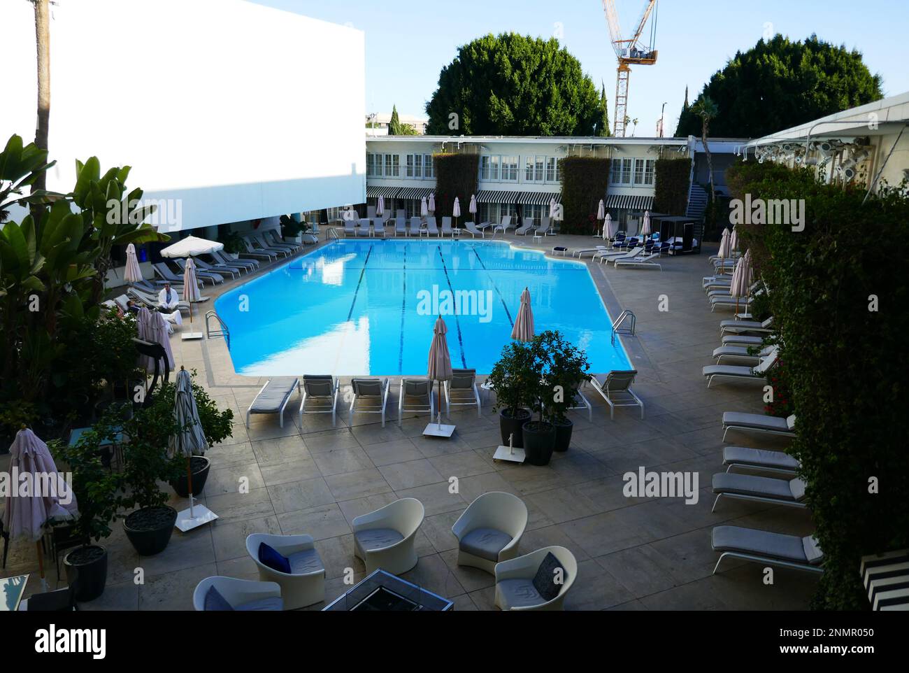 Beverly Hills, California, USA 11th February 2023 Swimming Pool at The ...