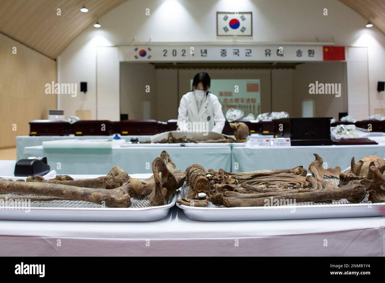 A member of the MND Agency for KIA Recovery and Identification (MAKRI ...