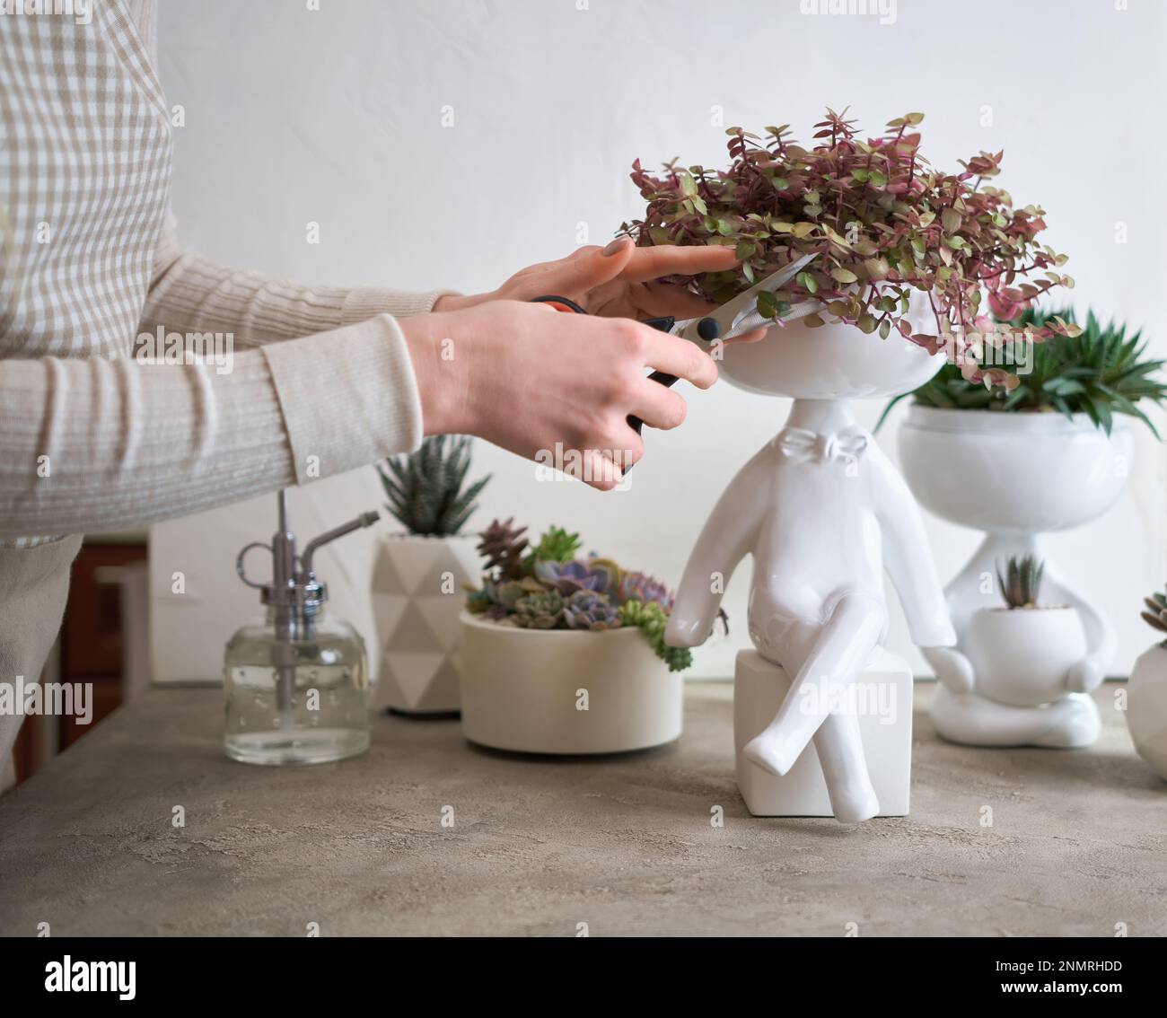 Potted House plant in white ceramic human like pot Stock Photo - Alamy