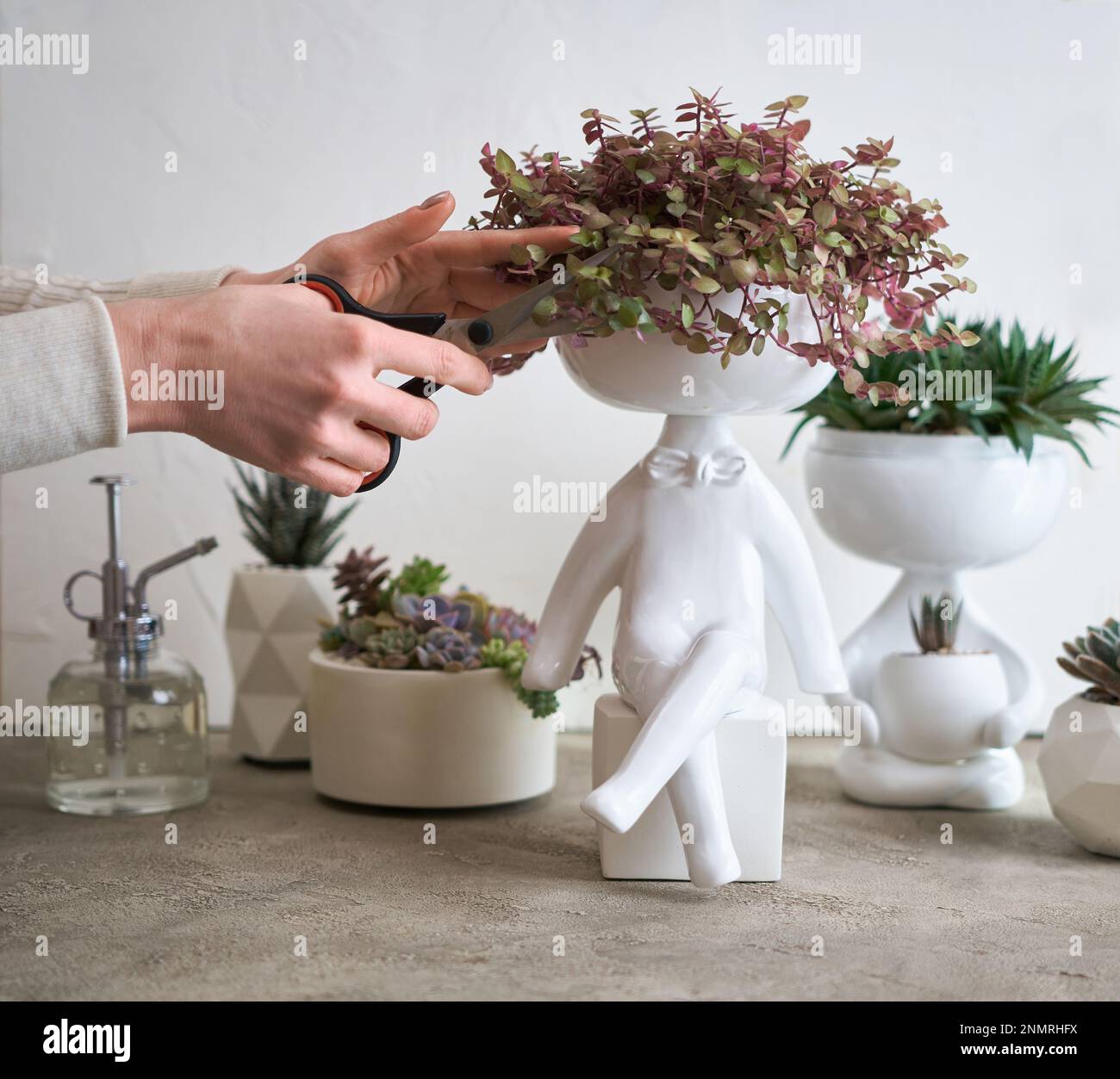 Potted House plant in white ceramic human like pot Stock Photo - Alamy