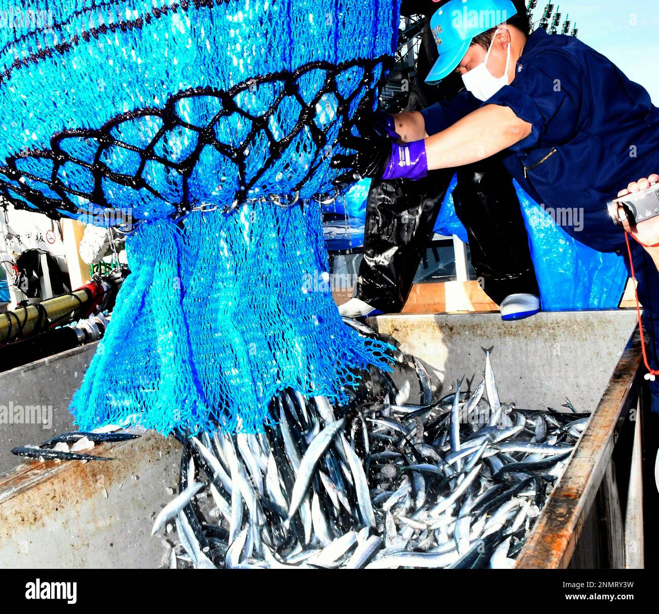 Fishermen land first catch of saury at Hanasaki Port, Nemuro, Hokkaido ...