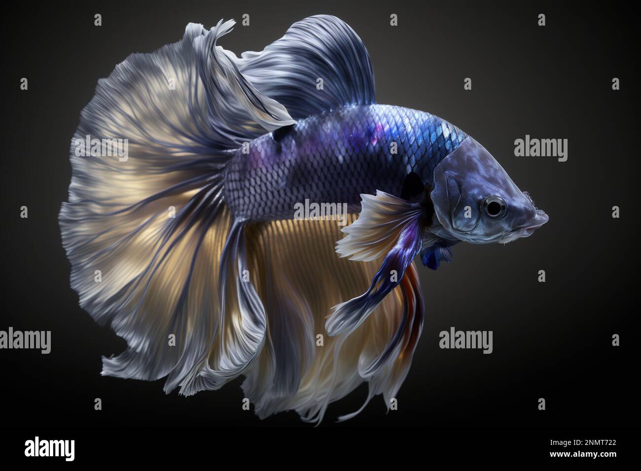 Purple Goldfish Dream Stock Photo - Alamy