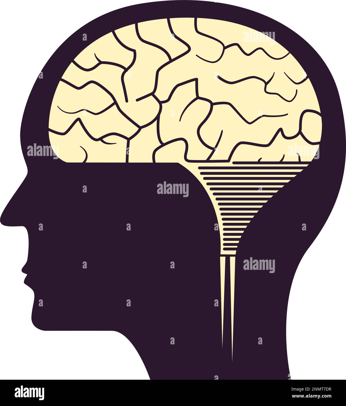 Human brain. Isolated vector. Concept of the human brain Stock Vector ...