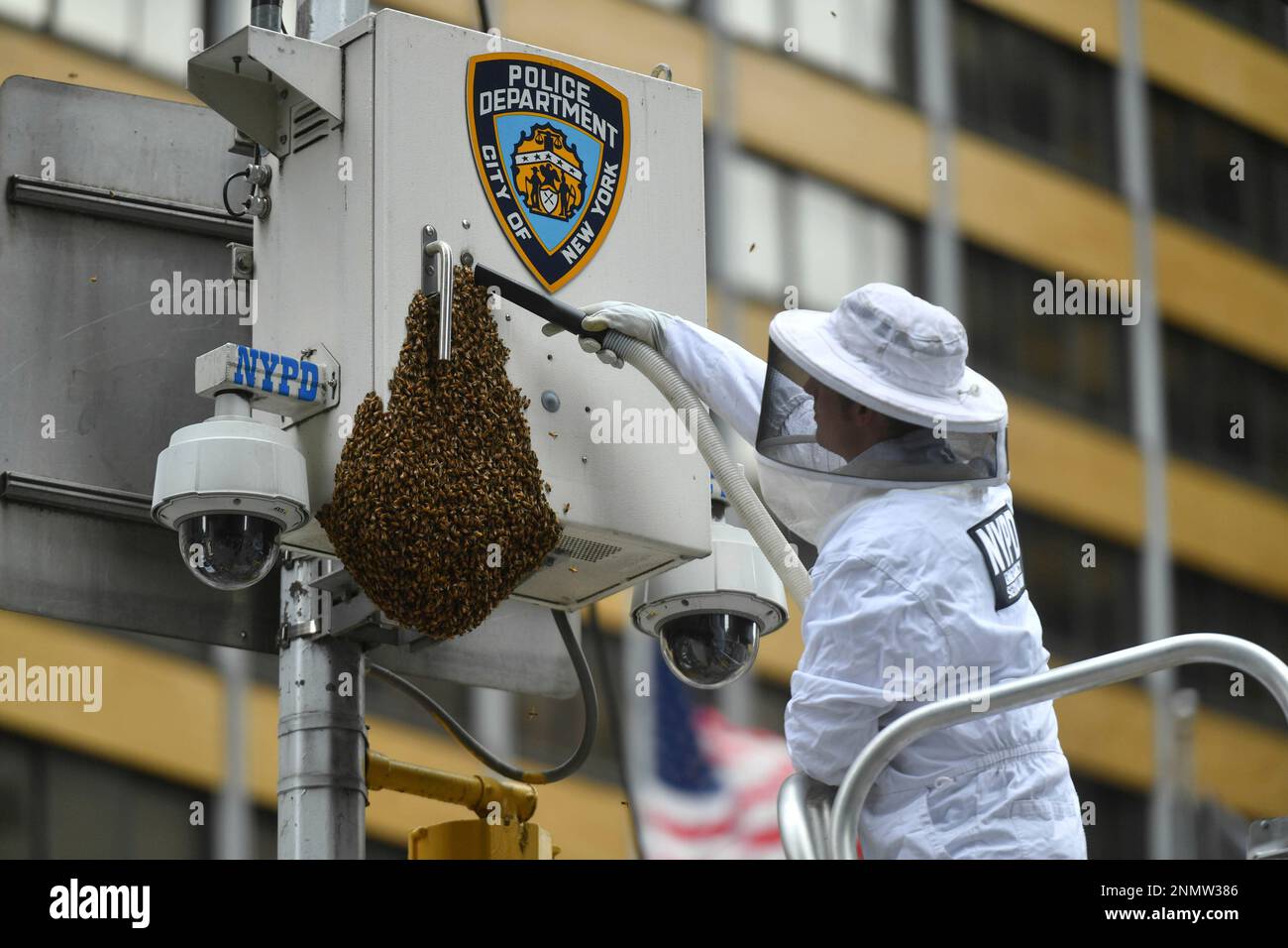 Photo by: NDZ/STAR MAX/IPx 2021 8/17/21 Detective Travis, of the NYPD ...