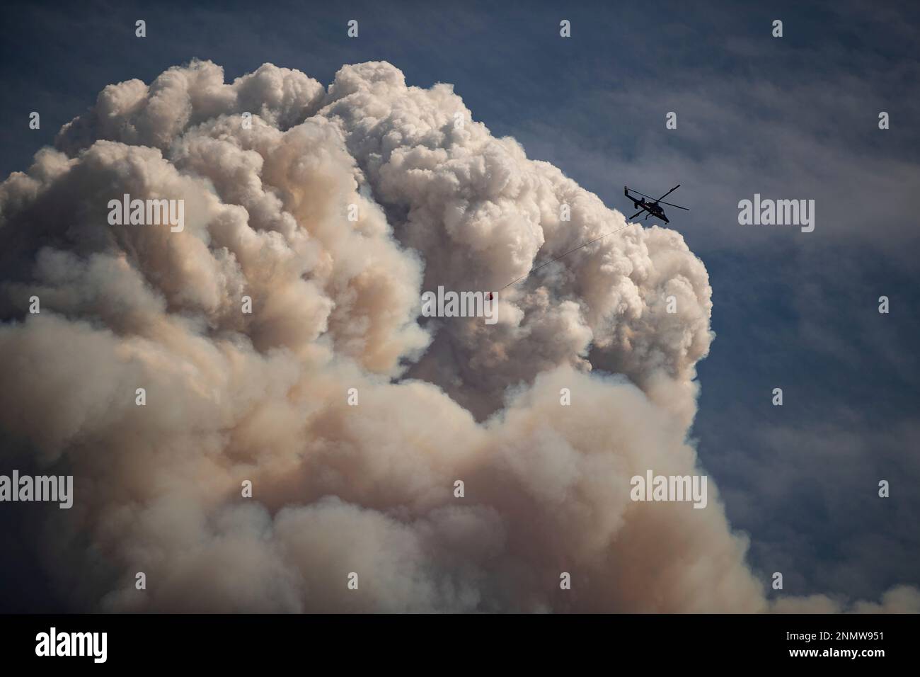 A helicopter carrying a water bucket flies past a pyrocumulus cloud ...