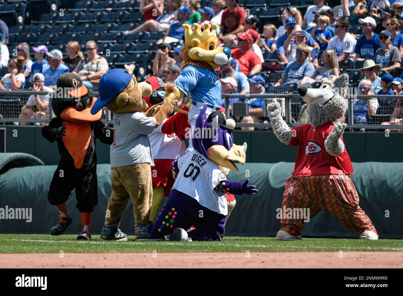 KANSAS CITY, MO - AUGUST 15: Kansas City Royals mascot Slugger ...