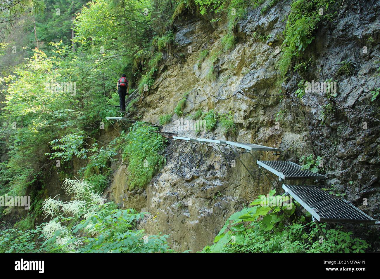 A tourist in the beautiful gorges of the Slovak Paradise National Park ...