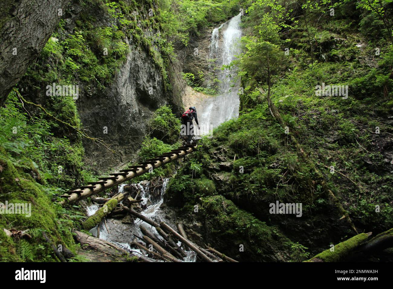 A tourist in the beautiful gorges of the Slovak Paradise National Park ...