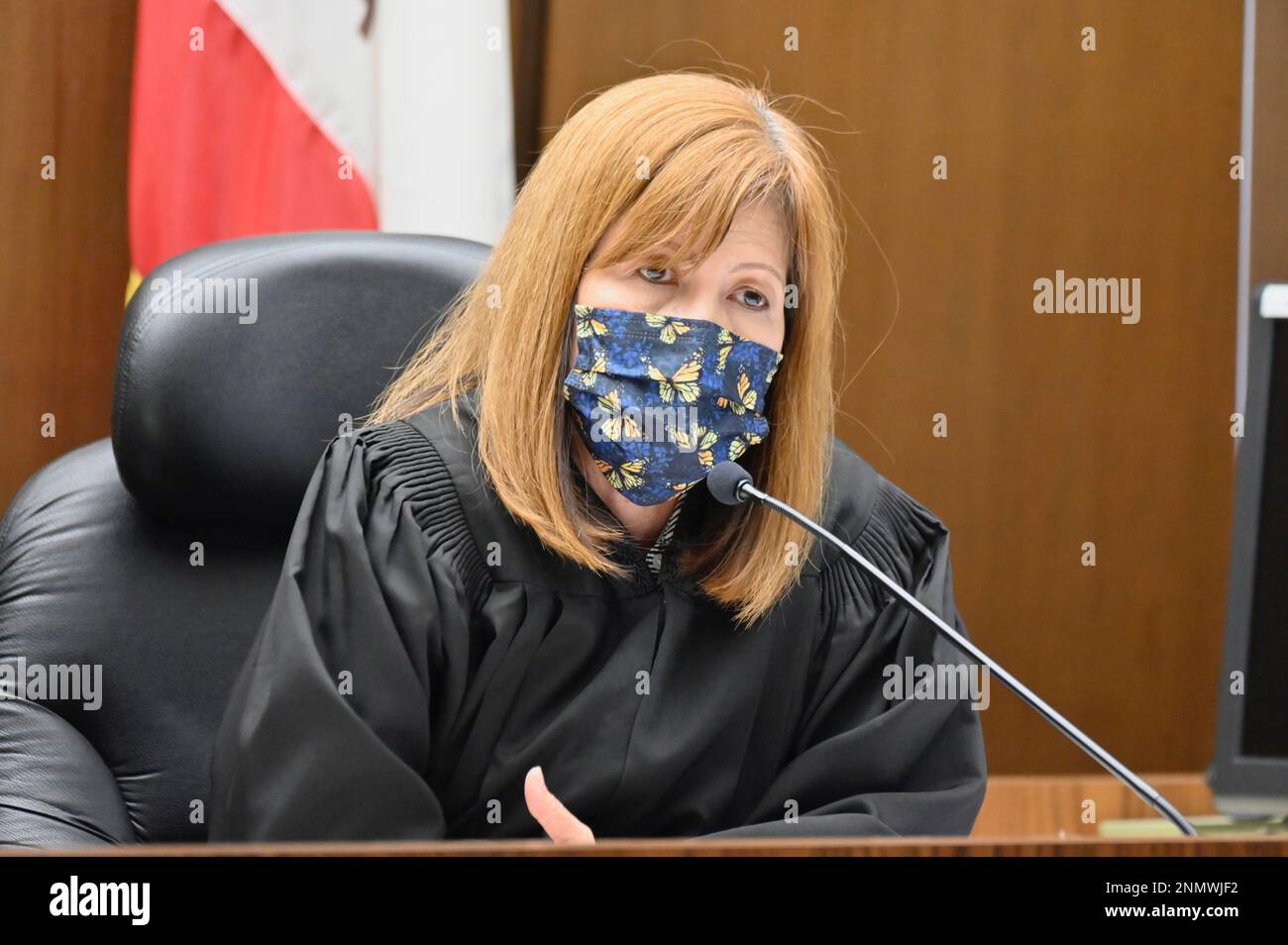 Judge Cheri Pham speaks during a court appearance by Aminadab Gaxiola ...