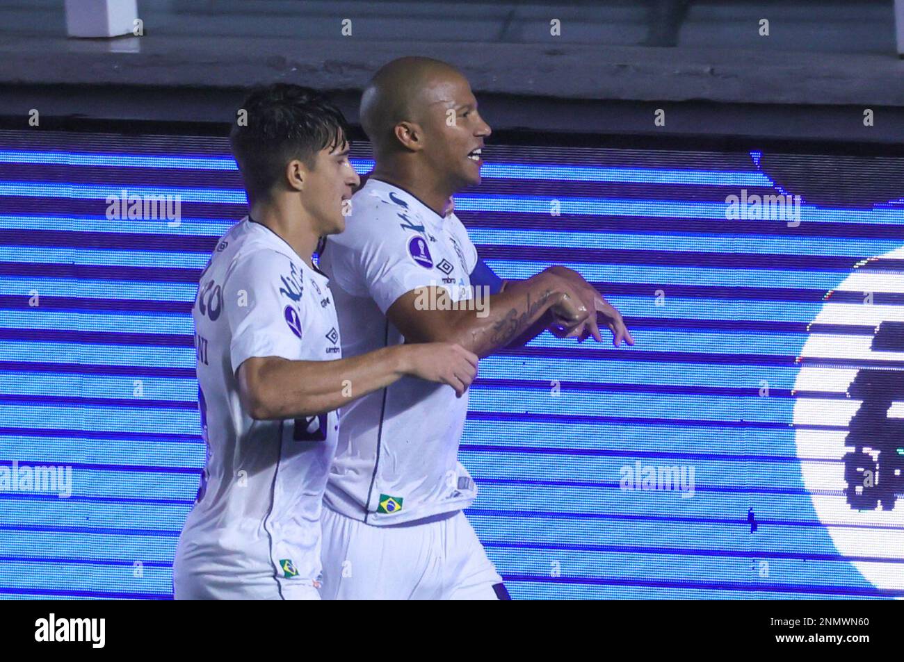 SP - Sao Paulo - 12/08/2021 - SOUTH AMERICAN CUP 2021, SANTOS X ...