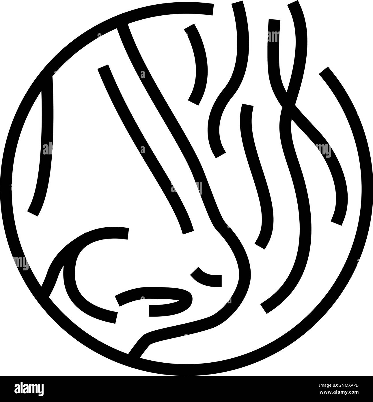 nose smell line icon vector illustration Stock Vector Image & Art - Alamy