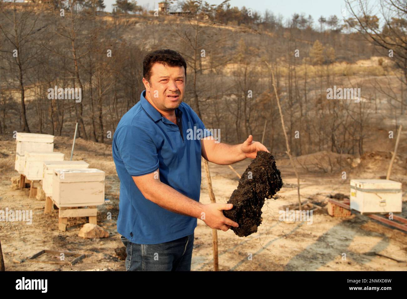 Beekeeper Guven Karagol shows his burnt beehives in Kalemler village of ...