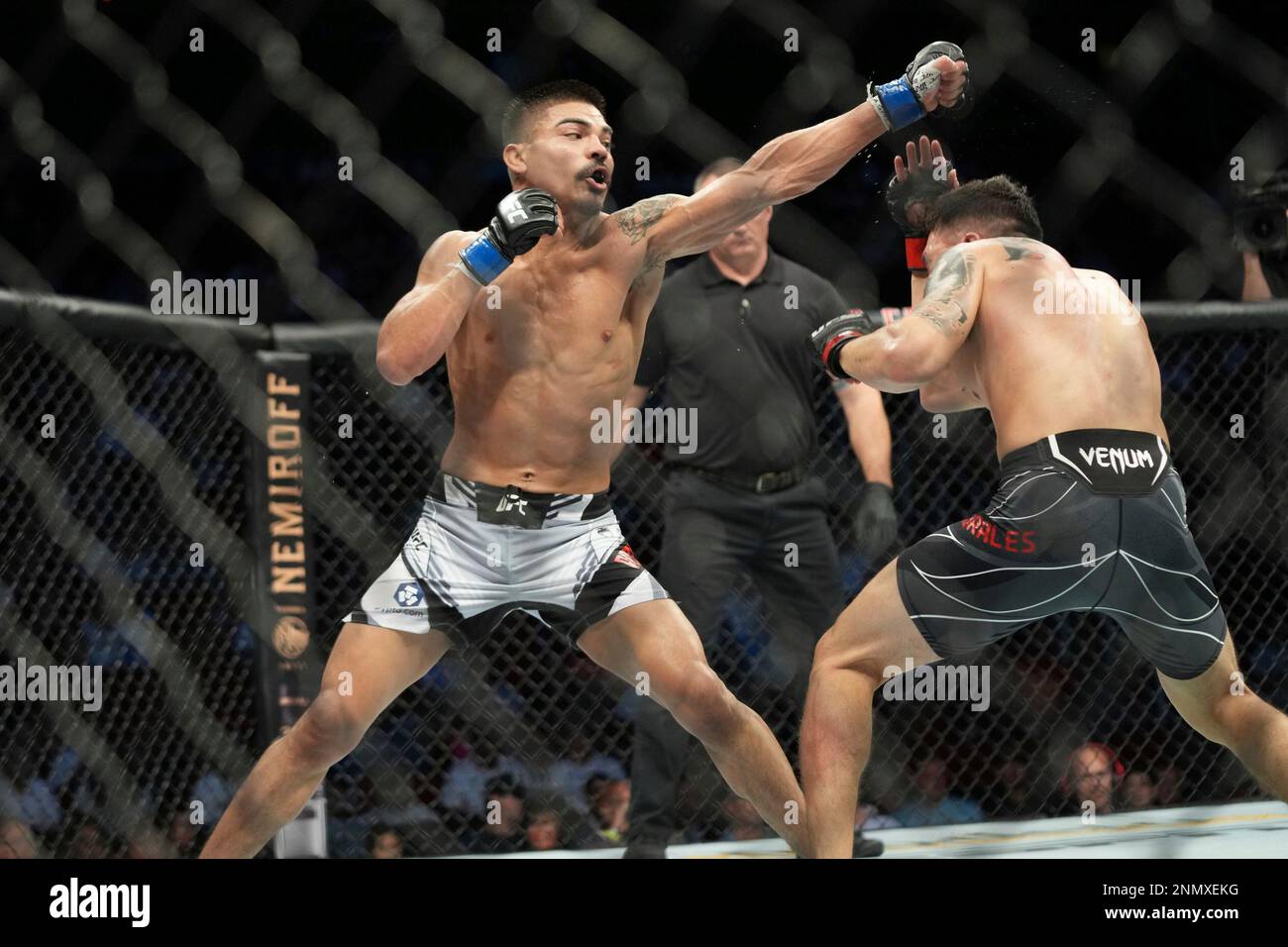 HOUSTON, TX - AUGUST 07: (L-R) Drako Rodriguez punches Vince Morales in ...