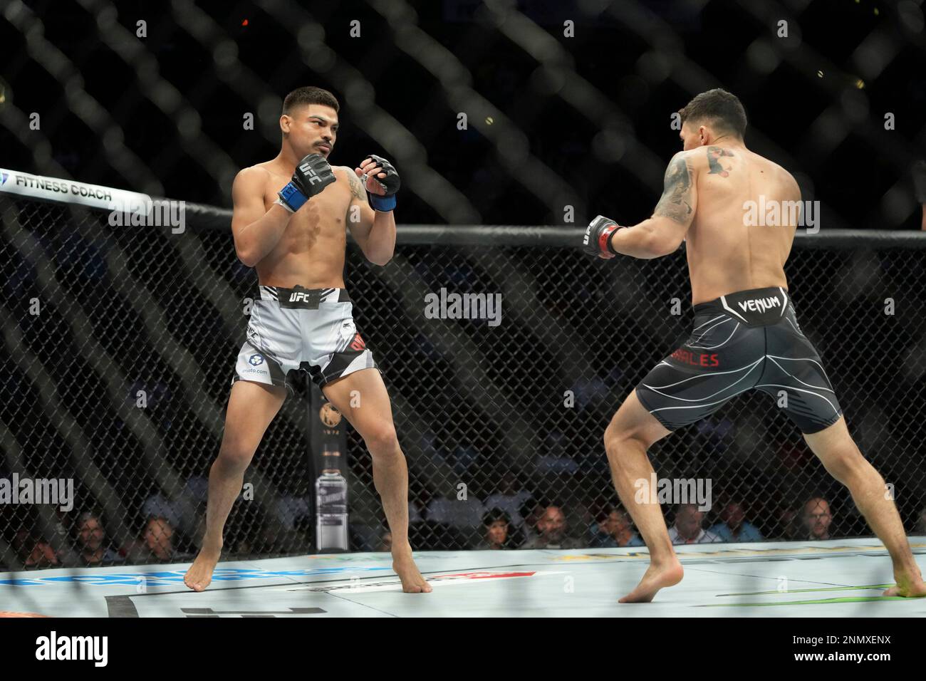 HOUSTON, TX - AUGUST 07: (L-R) Drako Rodriguez battles Vince Morales in ...