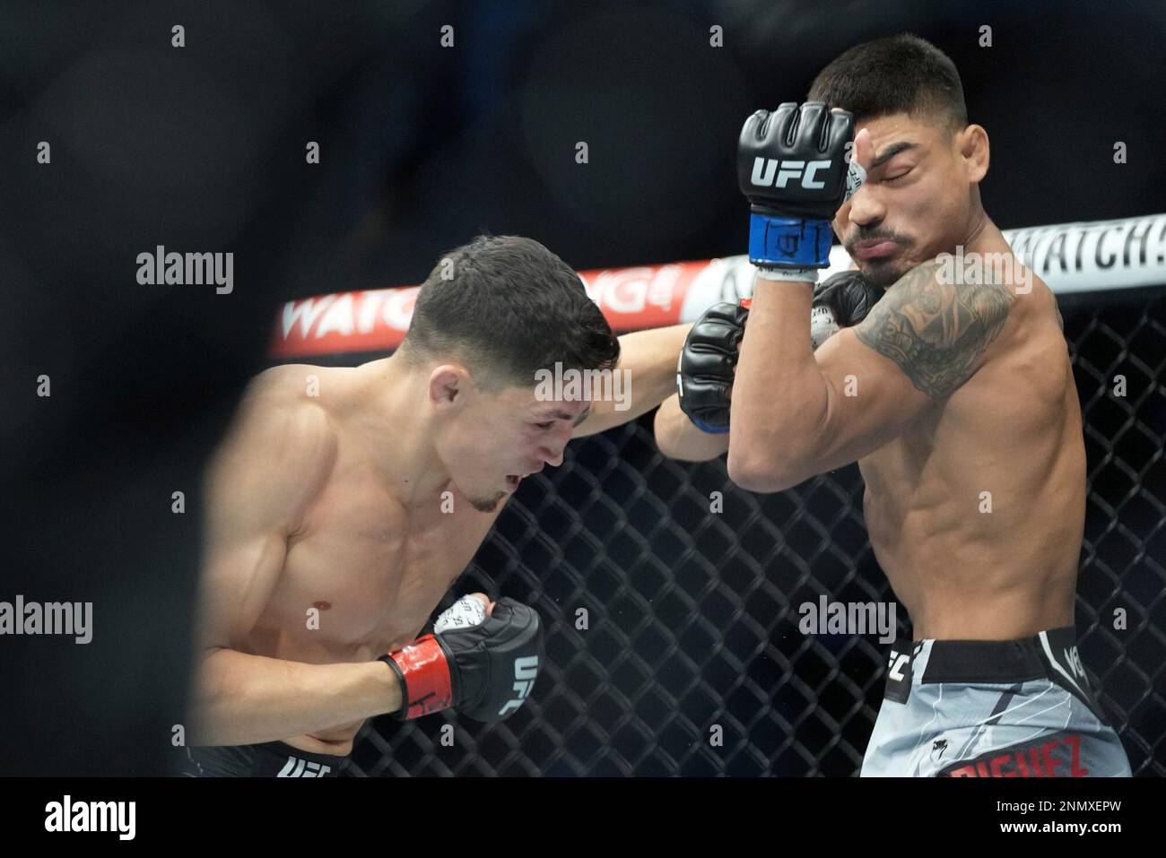 HOUSTON, TX - AUGUST 07: (L-R) Vince Morales punches Drako Rodriguez in ...