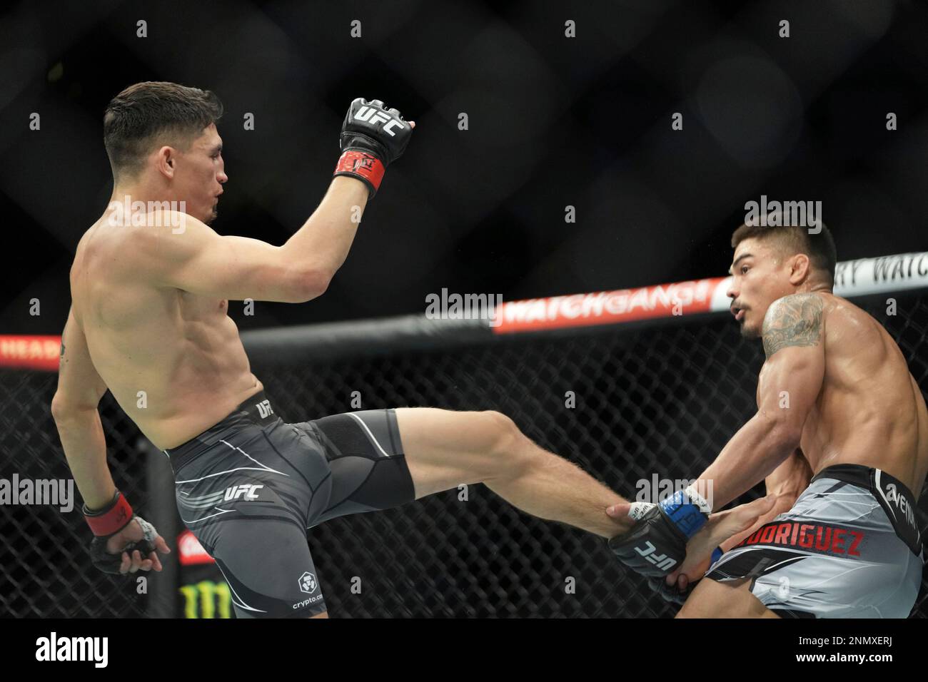 HOUSTON, TX - AUGUST 07: (L-R) Vince Morales kicks Drako Rodriguez in ...