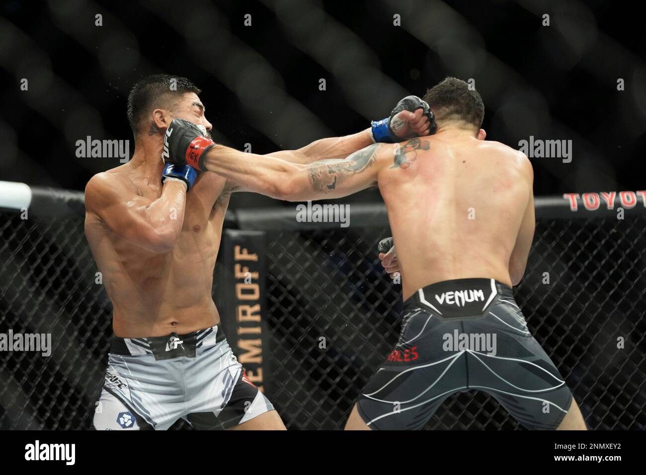 HOUSTON, TX - AUGUST 07: (R-L) Vince Morales punches Drako Rodriguez in ...