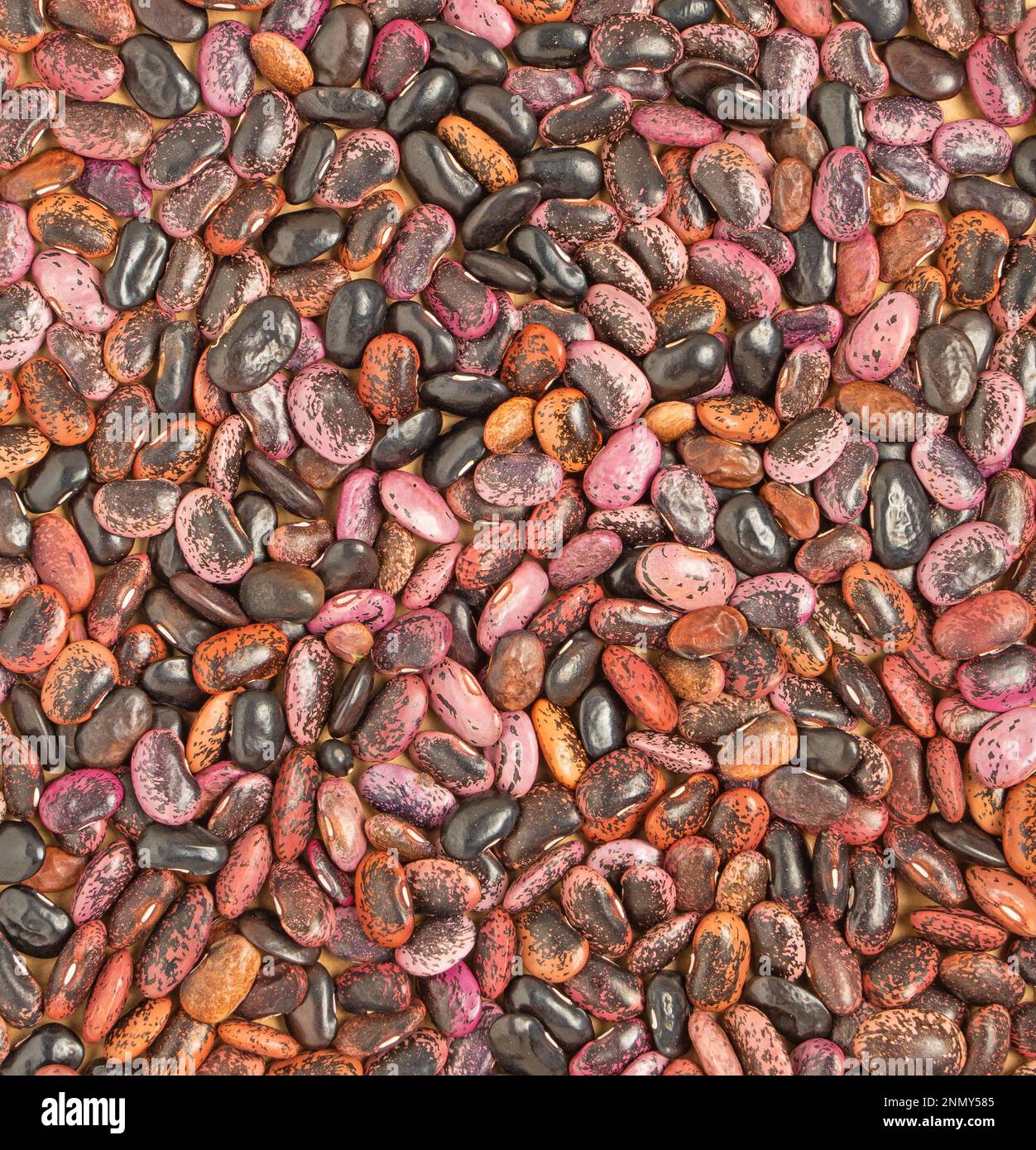 Food background. Bright colored beans lie tightly on the surface Stock Photo - Alamy