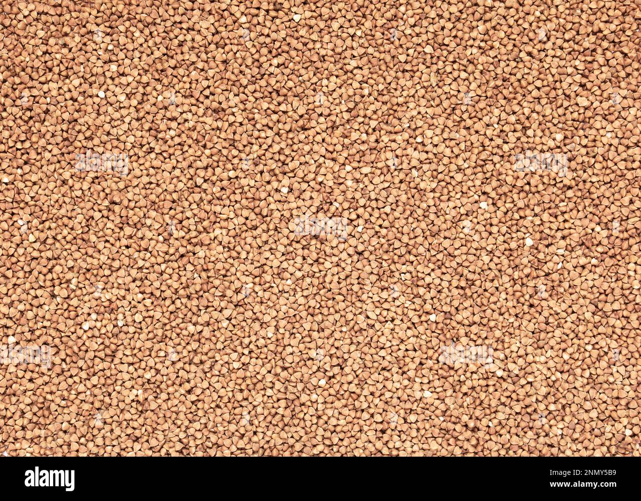Brown grains dry ingredient buckwheat hi-res stock photography and ...