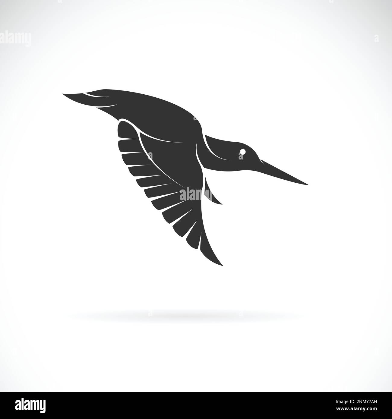 Vector of kingfisher design on white background. Easy editable layered ...