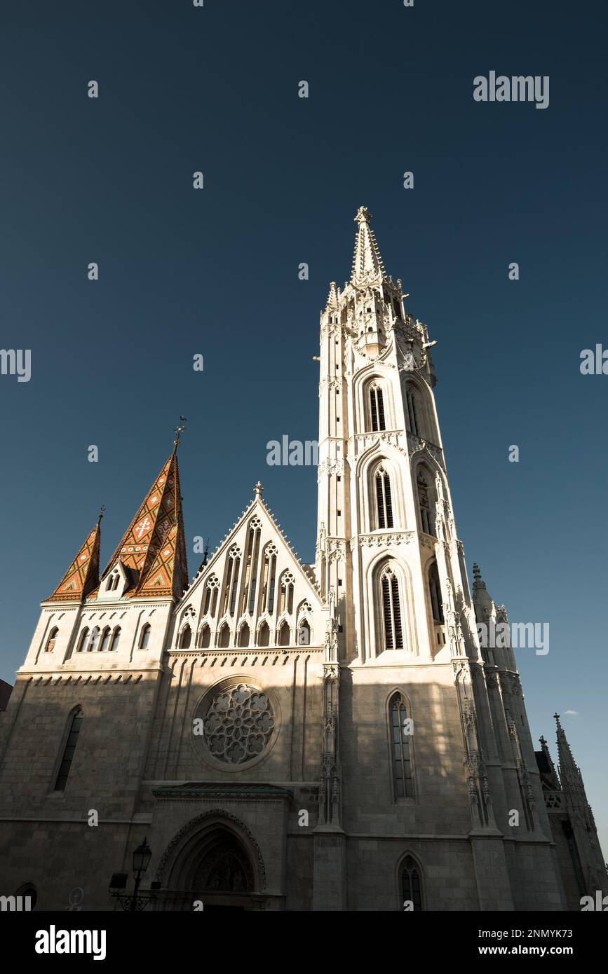 Matthias Church (Church of the Assumption of the Buda Castle Stock ...