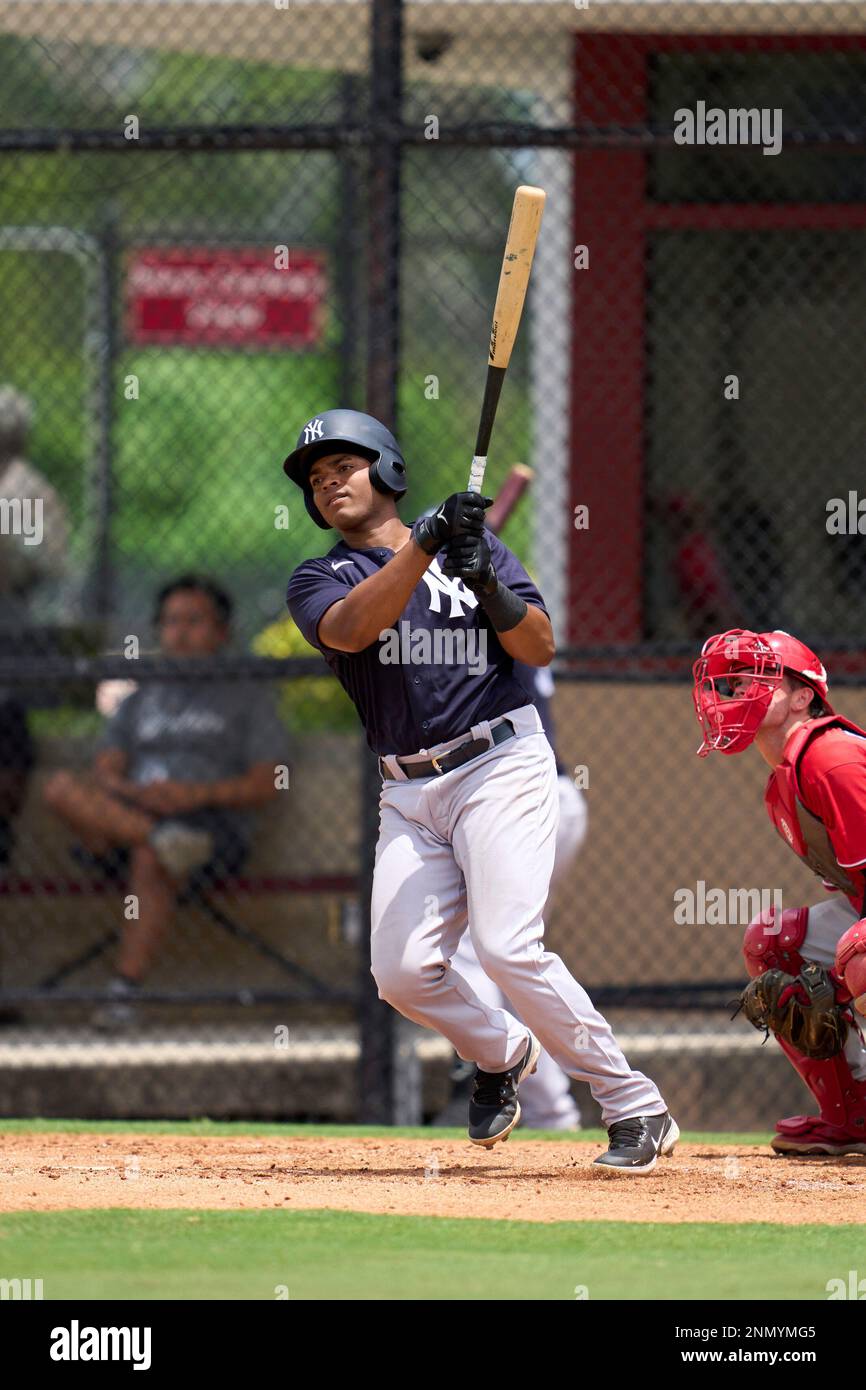 New York Yankees Jose Martinez (36) bats during an Extended Spring ...