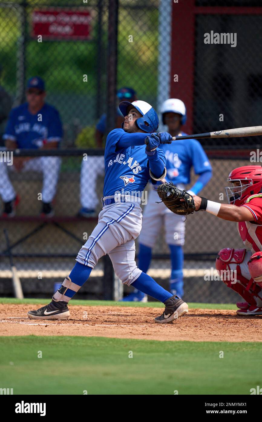 Toronto Blue Jays Adrian Montero (14) bats during an Extended Spring ...