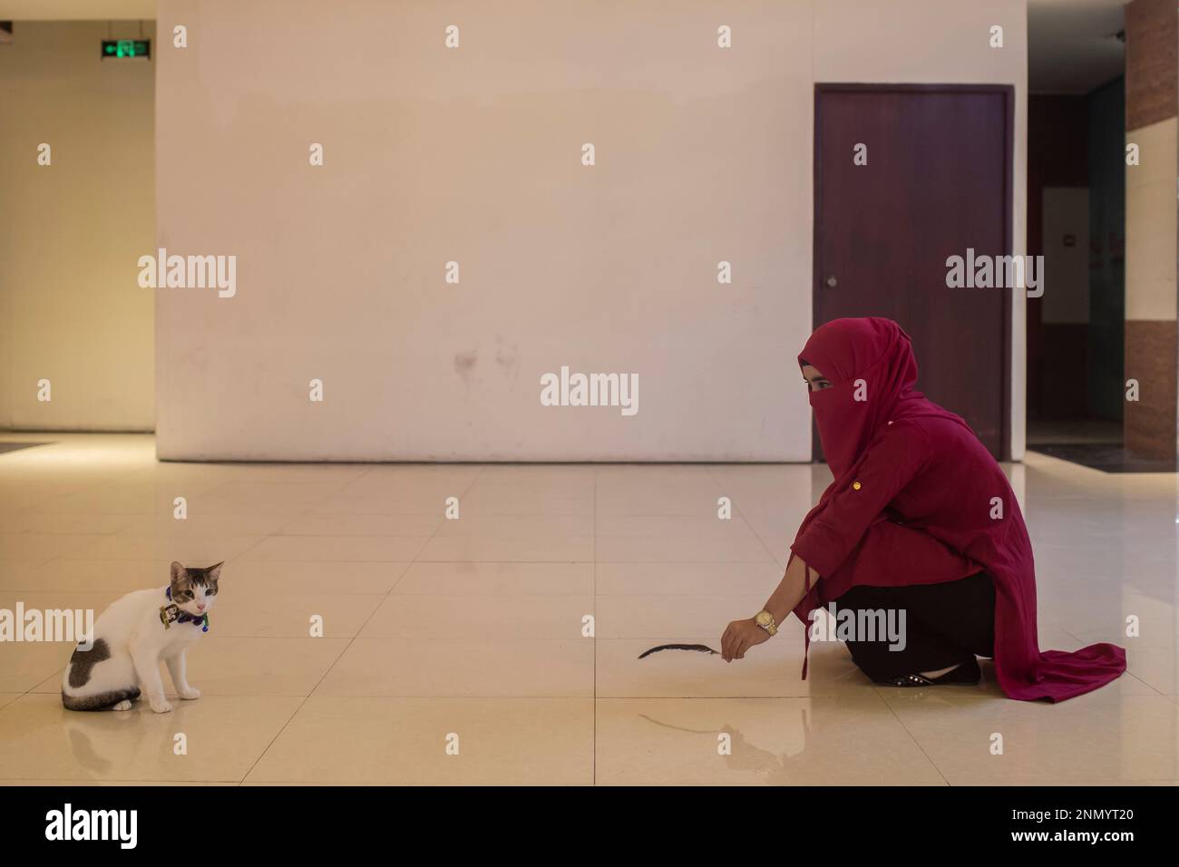 Dhaka, Bangladesh. 24th Feb, 2023. A cat owner shows off her pet cat ...