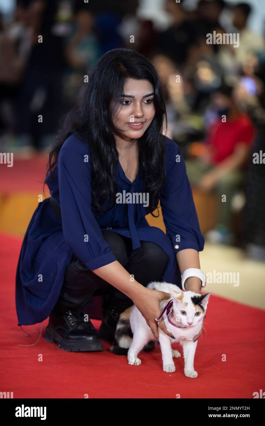 Dhaka, Bangladesh. 24th Feb, 2023. A cat owner shows off her pet cat ...