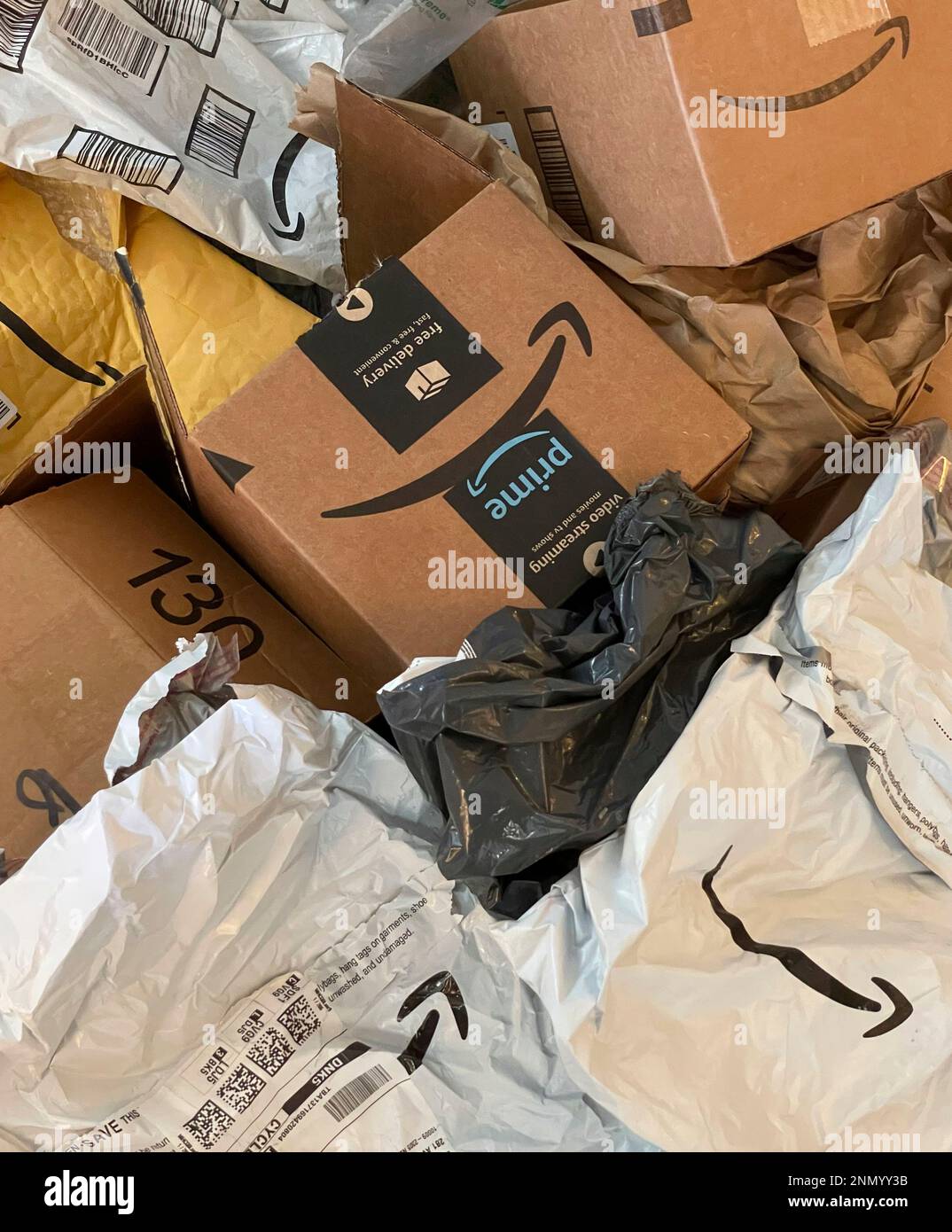 Photo by: STRF/STAR MAX/IPx 2021 8/1/21 States push to charge ...