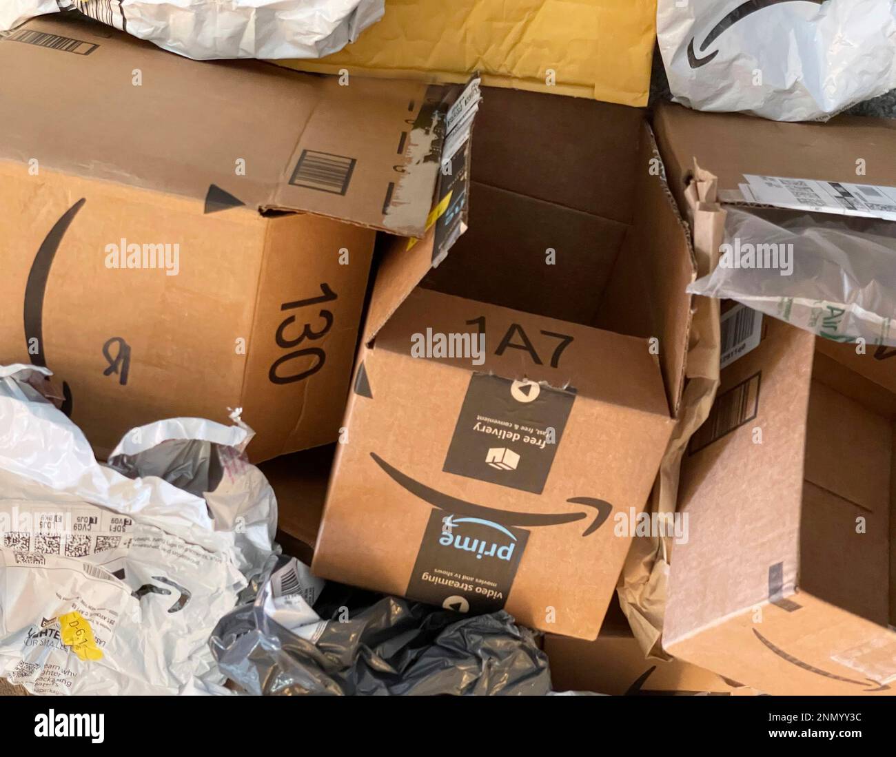 Photo by: STRF/STAR MAX/IPx 2021 8/1/21 States push to charge ...