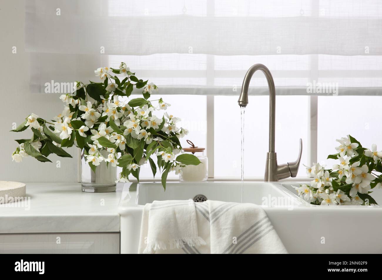 Bouquet of beautiful jasmine flowers in vase on countertop near kitchen ...