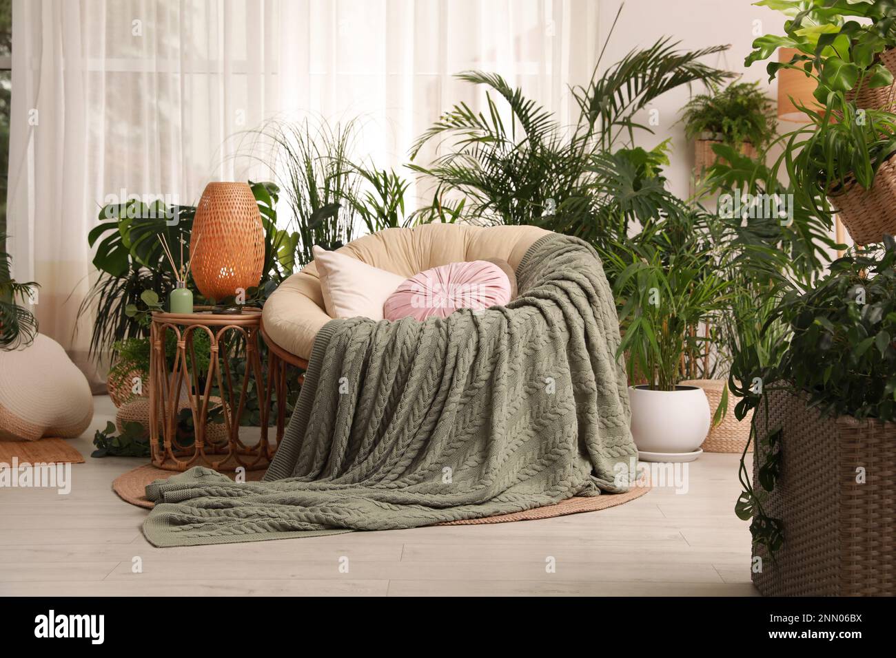 Indoor terrace interior with soft papasan chair and green plants Stock ...