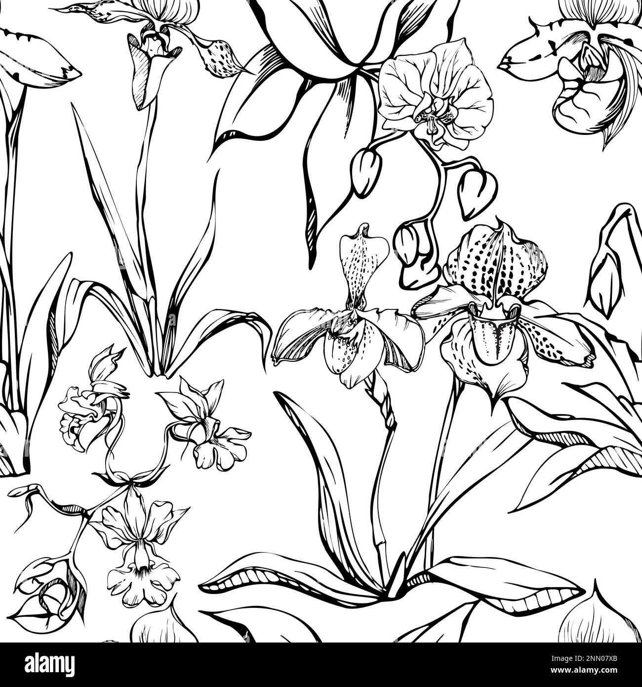 Hand drawn vector ink orchid flowers and branches, monochrome, detailed ...