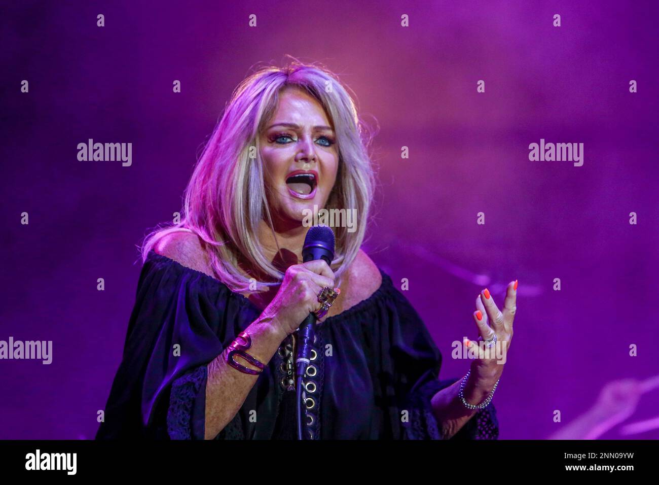 The singer Bonnie Tyler, during a concert at the Hipódromo de la ...