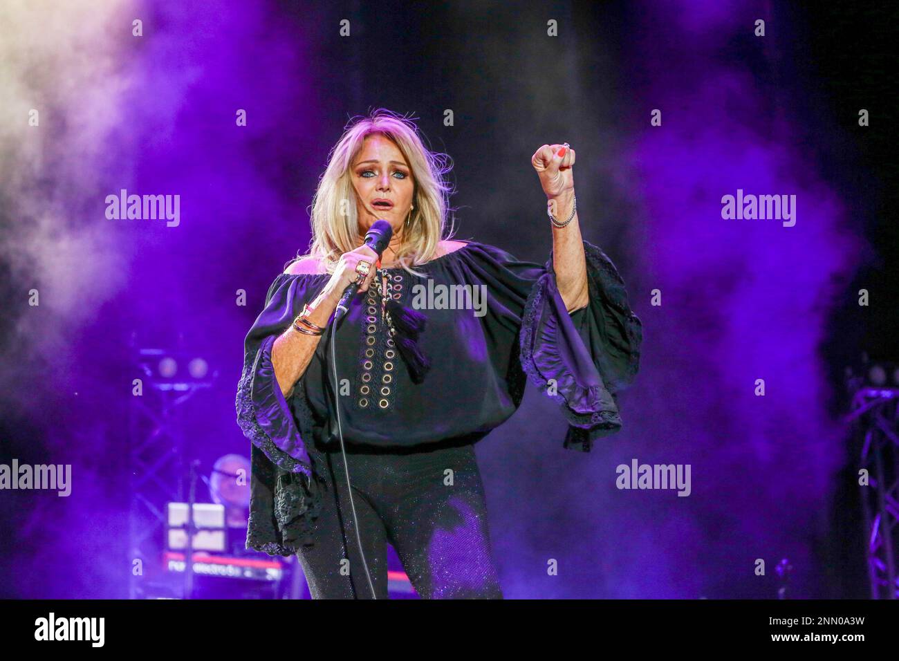 The singer Bonnie Tyler, during a concert at the Hipódromo de la ...